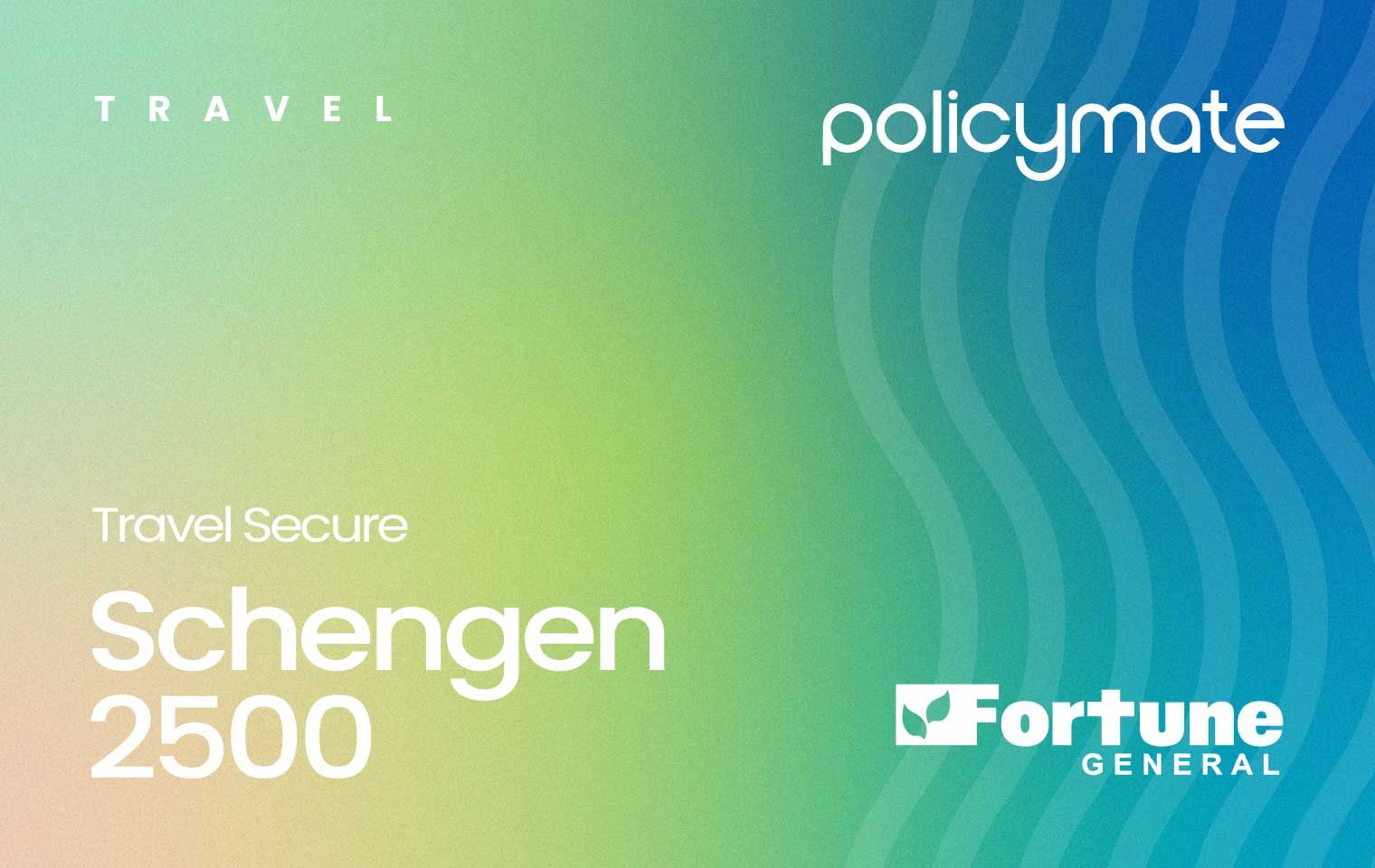 Travel Secure Schengen 2500 with Life Insu- Travel Insurance